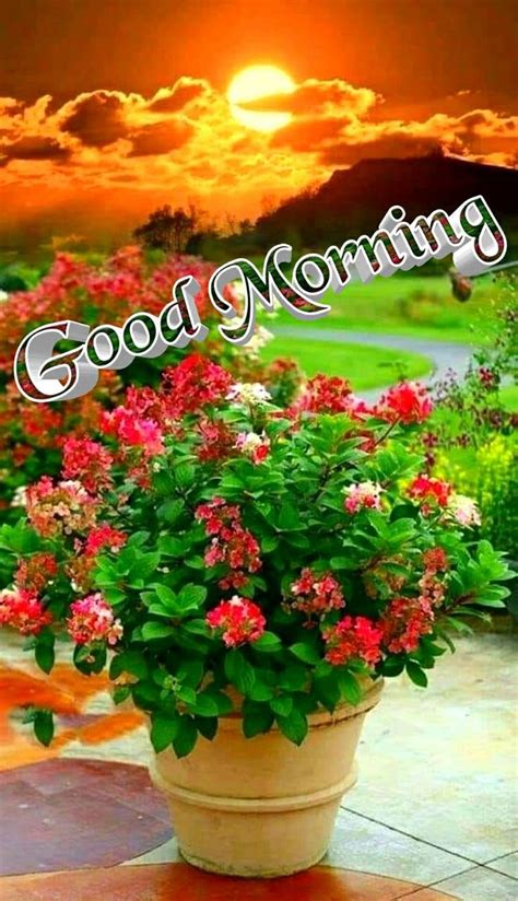 Top 999 Breathtaking Good Morning Nature Images Incredible