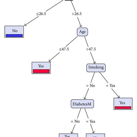 Segmentation Of The Vascular Tree For Image Analysis The Following Download Scientific Diagram