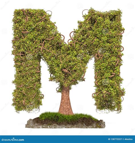 Tree Letter M Tree In Shaped Of Letter M D Rendering Stock