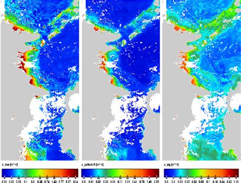 Figure 2 From Deriving Inherent Optical Properties From Meris Imagery And In Situ Measurement