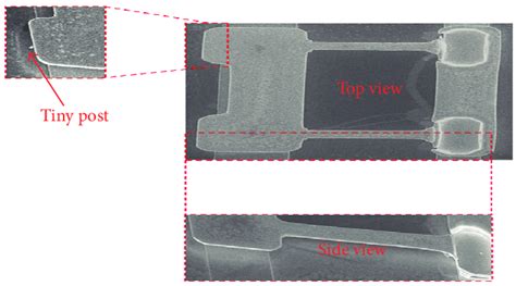 Sem Photo Of Cantilever Beam Mems Switch Download Scientific Diagram