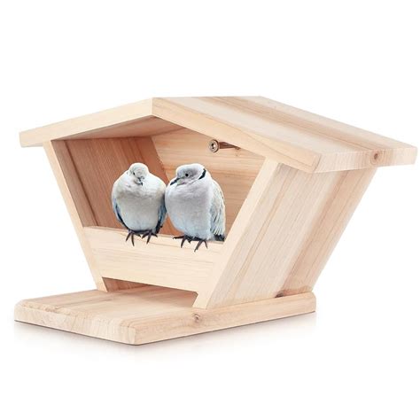 Platform Nesting Birds Essential Tips For Safe Habitat Protection Birds