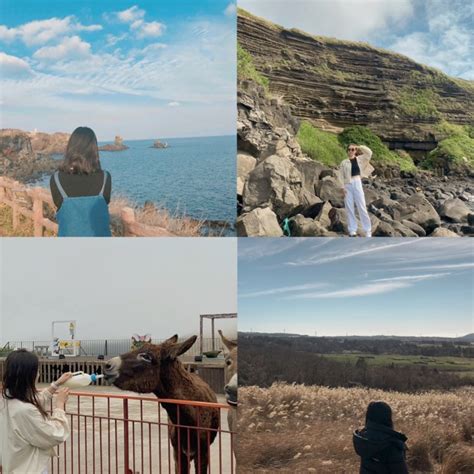 3개월마다 제주도가는 명예도민이 추천하는 10월 제주 가볼만한곳 네이버 블로그