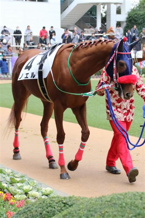 古今東西競馬場のオシャレ番長を探せ 競馬コラムニュースウマフリ