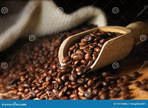 Kaffeebohne Stockfoto Bild Von Nahaufnahme Ernte Java 10176846