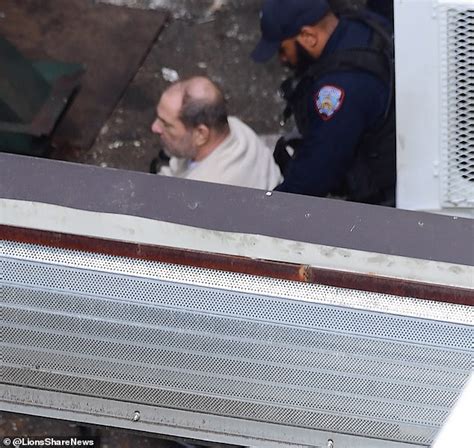 Harvey Weinstein Sentenced To 23 Years In Jail For Sex Crimes Daily
