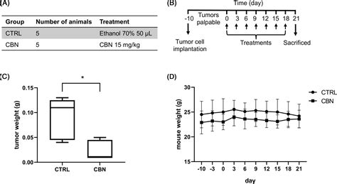 Anticancer Effect Of Minor Phytocannabinoids In Preclinical Models Of Multiple Myeloma Aguzzi