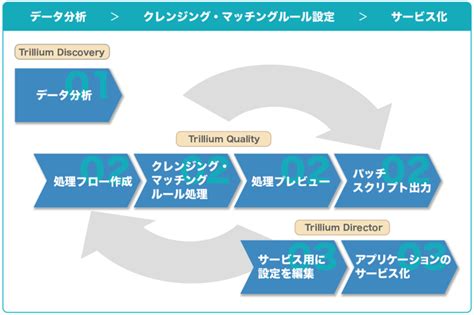 Precisely Trillium関連ソリューション（データクレンジング・名寄せ） 株式会社アグレックス