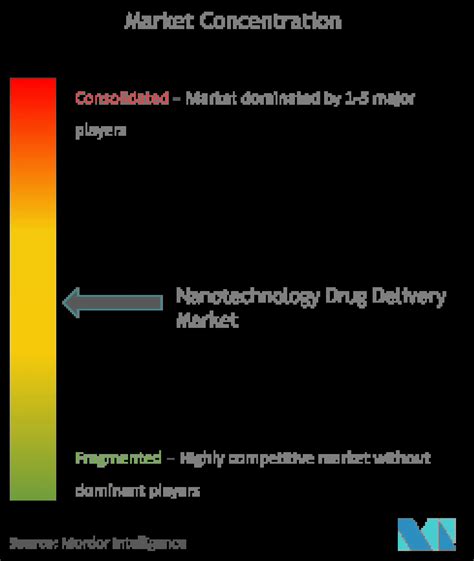Nanotechnology Drug Delivery Market Share Growth And Size