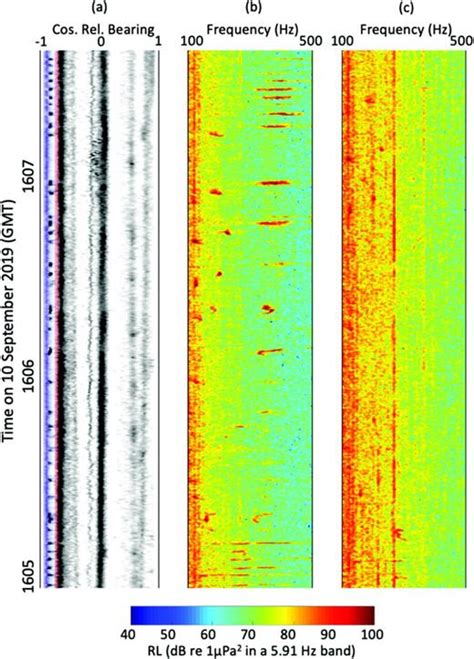 A Wave Glider Based Towed Hydrophone Array System For Autonomous Real