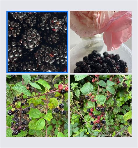 Sandra Leckey On Linkedin Memories