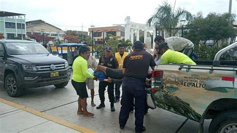 Personal De Salvataje Serenazgo Asiste A Surfista Noticias