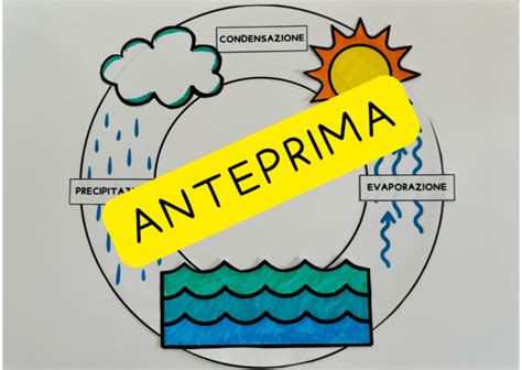 Ciclo Dell Acqua Schema Edudoro
