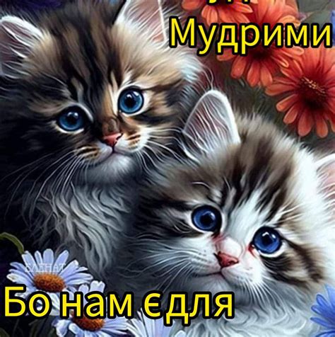 Я буду вітерцем легеньким У твоїй долі і житті Я буду сонечком ясненьким Світить тобі завжди Я