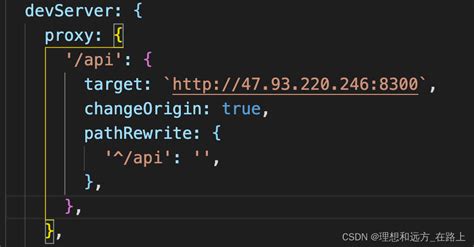 vue 项目配置跨越 vue 跨越 csdn博客