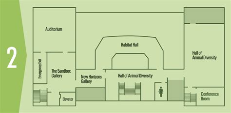 Visitor Information Msu Museum