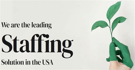 Staffing And Recruitment Agency In Usa Nettree Solutions