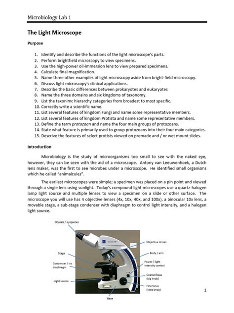 L1themicroscope1 Pdf Microscope Angular Resolution