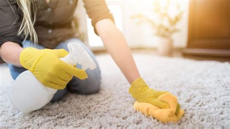 How To Clean Pee Stains Out Of Carpet 4 Methods That Actually Work