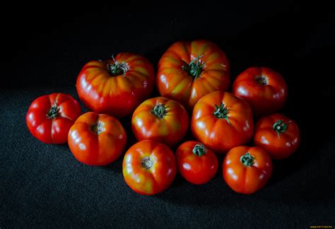 Обои Еда Помидоры обои для рабочего стола фотографии еда помидоры томаты Обои для рабочего