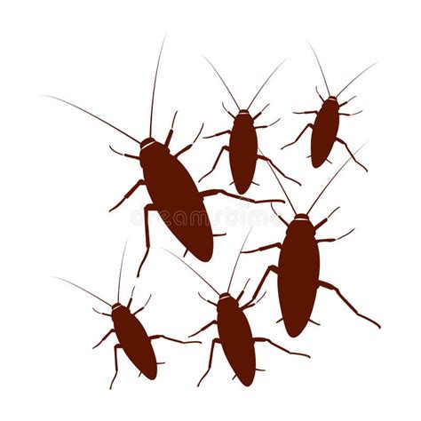 Cockroach Icon Stock Vector Illustration Of Roach Black 283134238