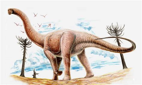 Argentinosaurus Dinosaurs Pictures And Facts