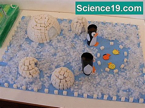 Okulöncesi İçin Igloo Gerçekleri 💫 Bilimsel Ve Popüler Multimedya