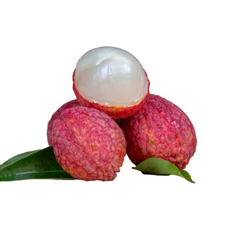 Lychee Cultivation Lychee Crop Management Agrownet