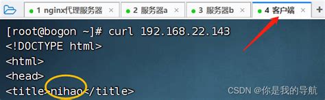 Nginx负载均衡 nginx双负载 CSDN博客