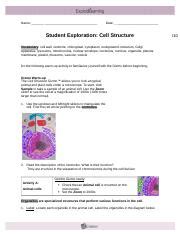 Gizmo 1 Cell Structure Revised 2020 Copy Docx Name Date Babe Exploration Cell