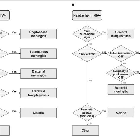Linear A And Branched B Algorithms Download Scientific Diagram