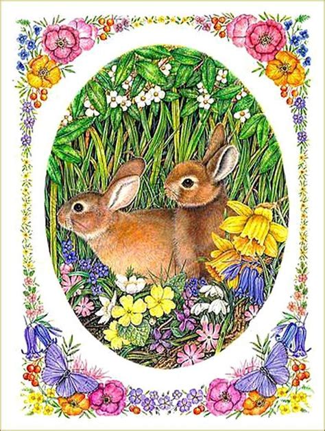 lapins lièvres en peinture et illustrations Anne Mortimer Balades