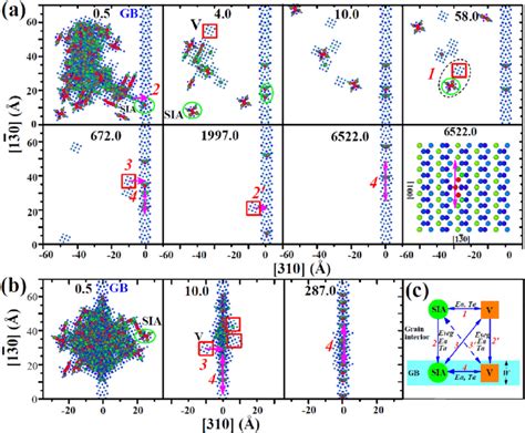 Representative Simulation Snapshots Illustrating The Progression Of A Download Scientific