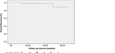 Kaplan Meier Estimation Of Overall Survival Download Scientific Diagram