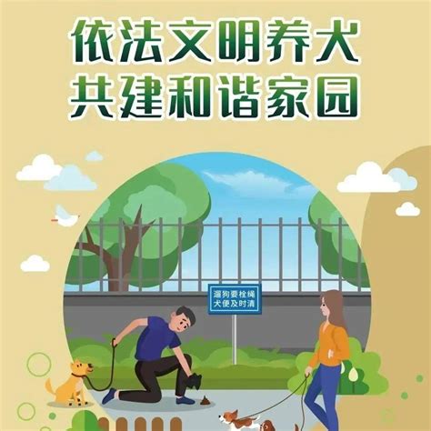 公益广告｜文明养犬，共建和谐家园东城张小妮北京