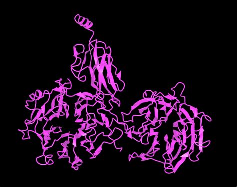 Revolutionizing Protein Structure Prediction With Ai And Hpc Utilizing Alphafold Fovus