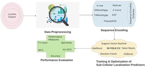 Circ Locnet A Computational Framework For Circular Rna Sub Cellular