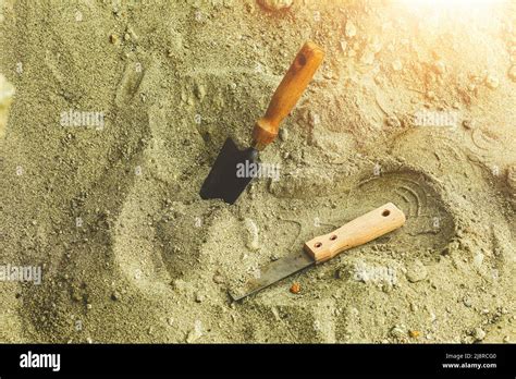 Shovel In The Sandskeleton And Archaeological Toolsdigging For