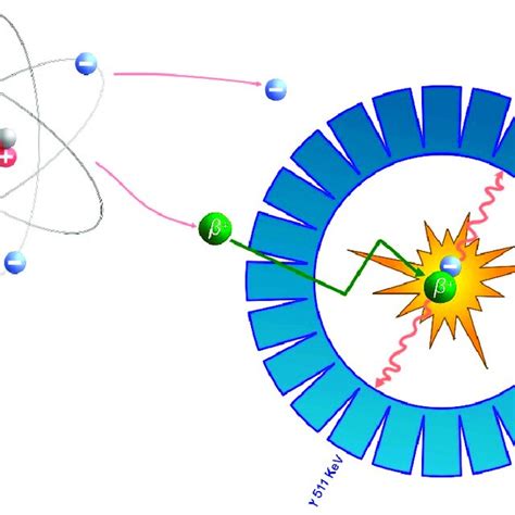 Schematic Representation Of The Basic Principles Governing PET A