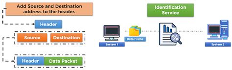Network Layer In The OSI Model One Stop Guide Simplilearn