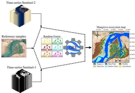 remote sensing mdpi en linkedin mangrove ecosystem mapping using