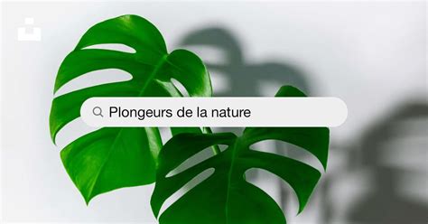 Nature Wallapers Photos Télécharger Des Images Gratuites Sur Unsplash