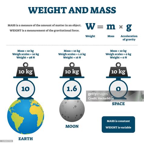 Weight And Mass Vector Illustration Labeled Educational Comparison