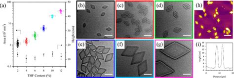 Controlling The Size Of Two Dimensional Polymer Platelets For Water In Water Emulsifiers Acs
