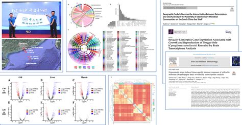 Marine Ecological Genomics Lab 海洋生态基因组实验室