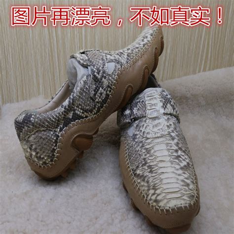 八爪鱼鞋子 八爪鱼鞋子搭配图片 八爪鱼 第4页 大山谷图库