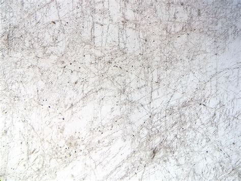 2 Quartz Feldspars And Other Framework Silicates Optical Mineralogy