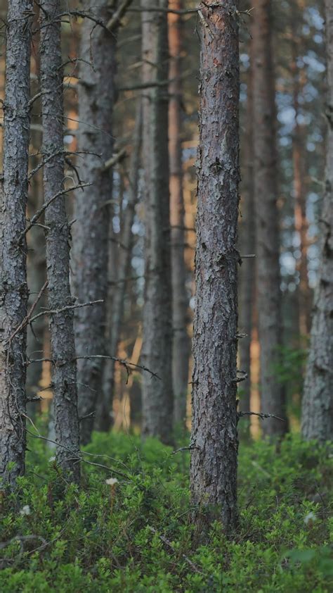 6 000 Video Intip Mandi Bugil Terbaik · Unduh Gratis 100 · Video Stok