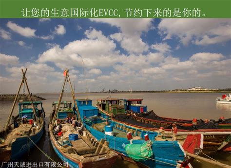 芒果干清关我来详解一番进口报关