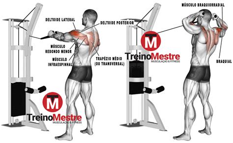 Posterior De Deltoide 4 Exercícios E Alguns Aspectos Práticos Treino